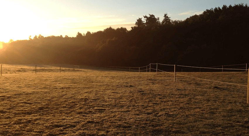 The Concentric Track Paddock System - Emily360